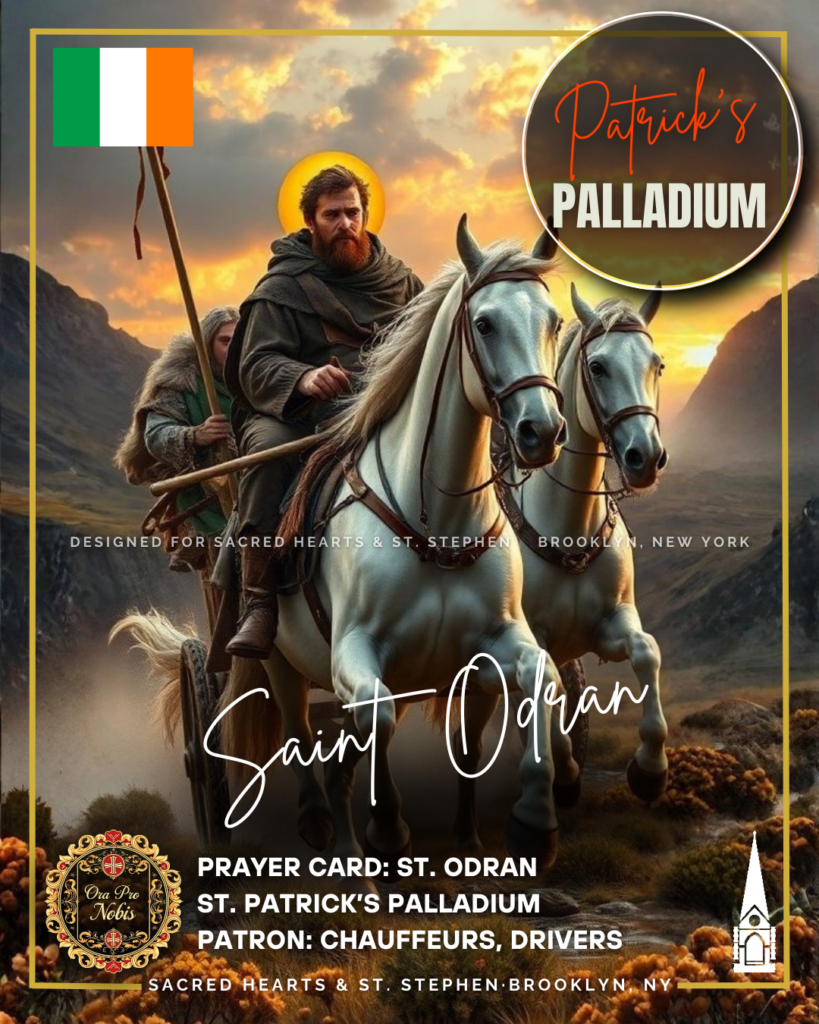 2_19 St. Odran | Sacred Hearts-St. Stephen